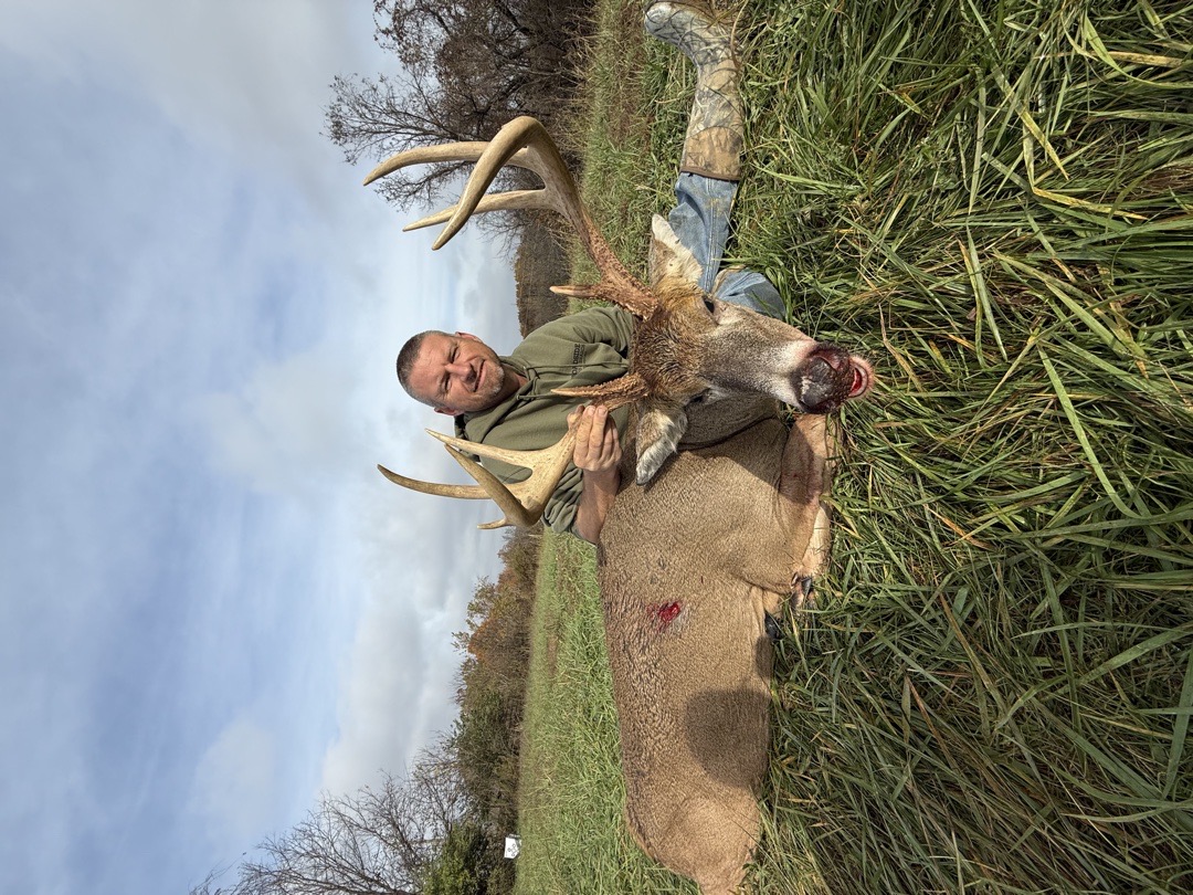 rackline.ai | Whitetail Scoring App - AI Buck Scoring & Age Estimates